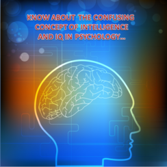 What Is Intelligence & IQ? (Psychology) – EruptingMind